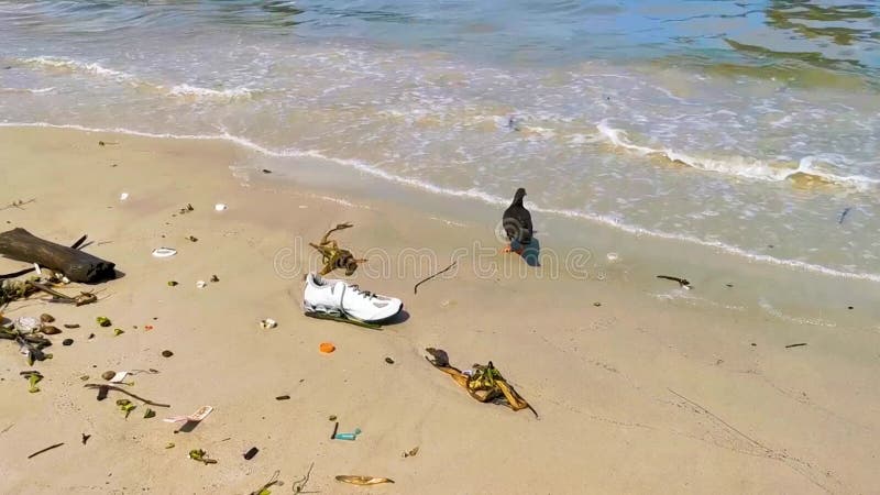 Stranded Washed Up Garbage Waste Trash Pollution on Beach Brazil Stock ...