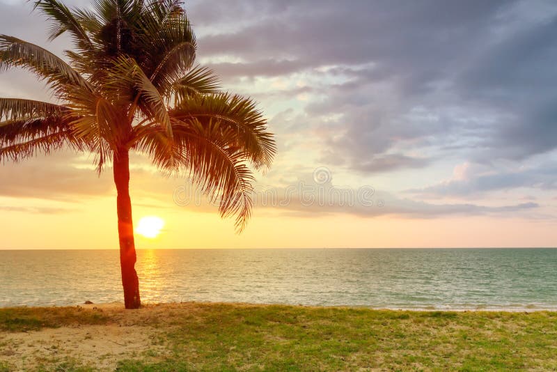 Strandlandschaft Mit Palme am Sonnenuntergang Stockfoto - Bild von ...