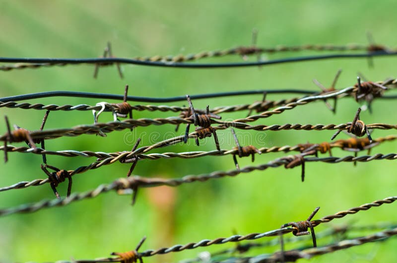 Strands of barbed wire stock image. Image of barbs, sharp - 5621887