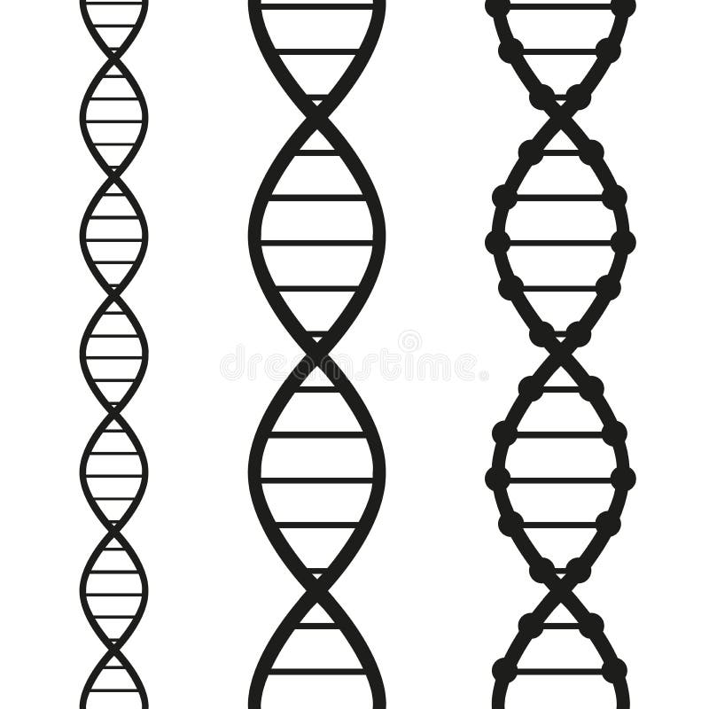 DNA Strands stock vector. Illustration of atom, helix - 19333092