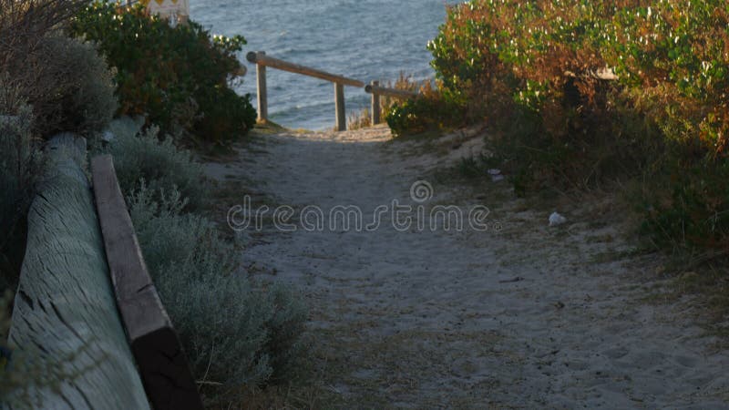 Strandweg stock afbeelding. Image of water, zand, strand - 114741115