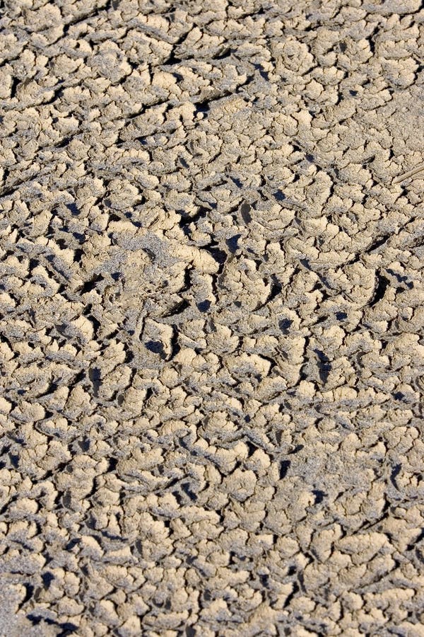 Strange Crusty Patterns in Sand on Beach in Spain Stock Image - Image ...