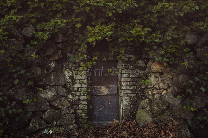 Strange Door Covered By Ivy Stock Image - Image of cave, melancholy ...