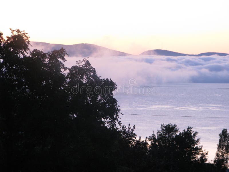 Strange fog stock photo. Image of fell, tree, atmosphere - 95998486