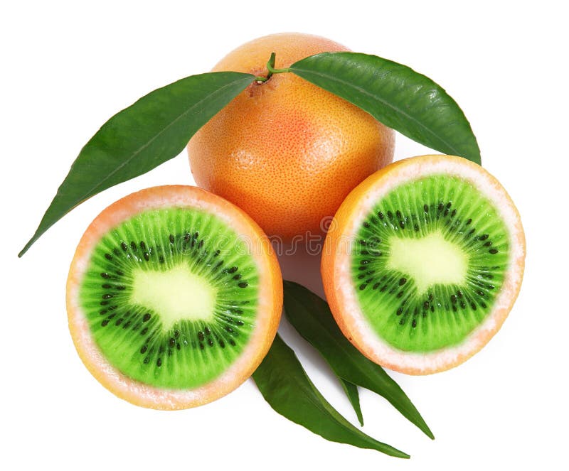Ibrid Fruit Kiwi-grapefruit Stock Image - Image of modified, concept ...