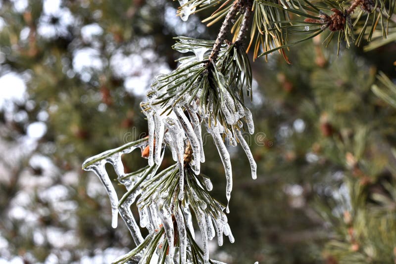 Strange Icicle Formation stock image. Image of white - 115009335
