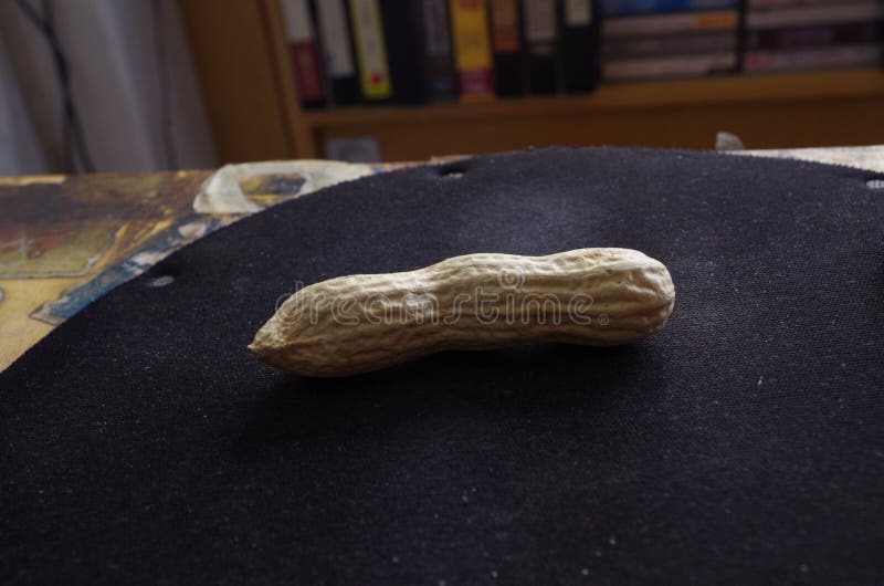 A Strange Long Peanut Closeup Stock Image - Image of ingredient ...