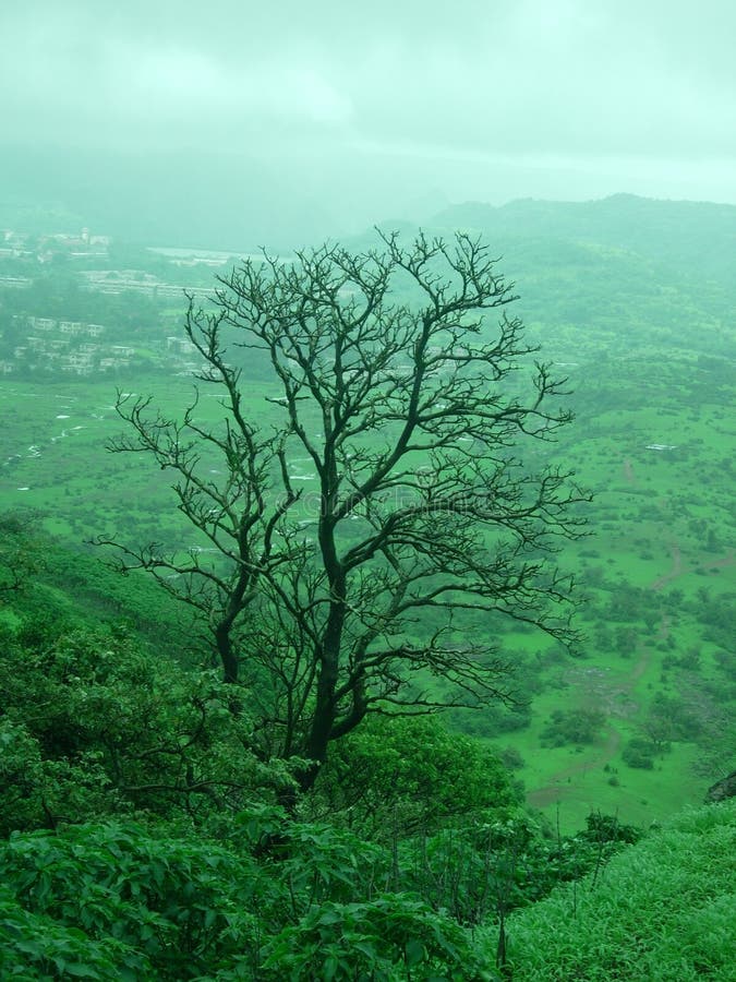 Strange Nature stock photo. Image of black, classic, deep - 1056276