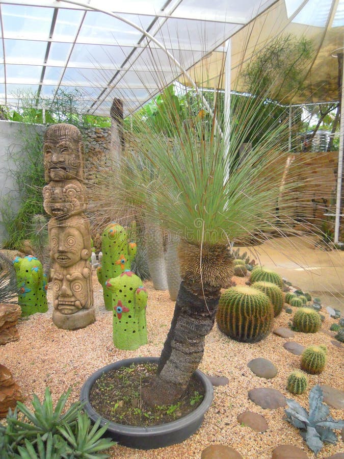 Strange palm and god stock photo. Image of houseplant - 261459502