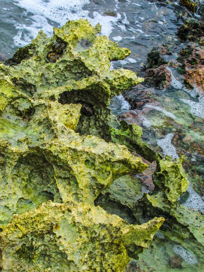 Strange Rocks in Yehliu Geopark Park on the Northern Coast of Taiwan ...