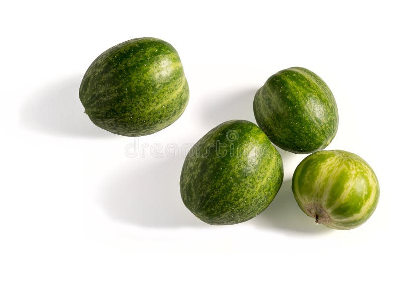 Strange round cucumbers. stock image. Image of organic - 123805621