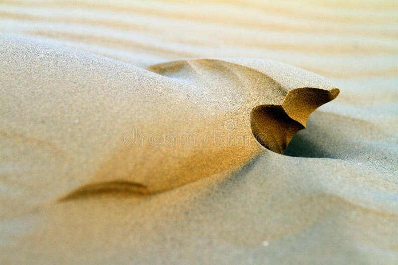 Strange Sand Formations Which Look Like Sculptures, Created by Wind ...