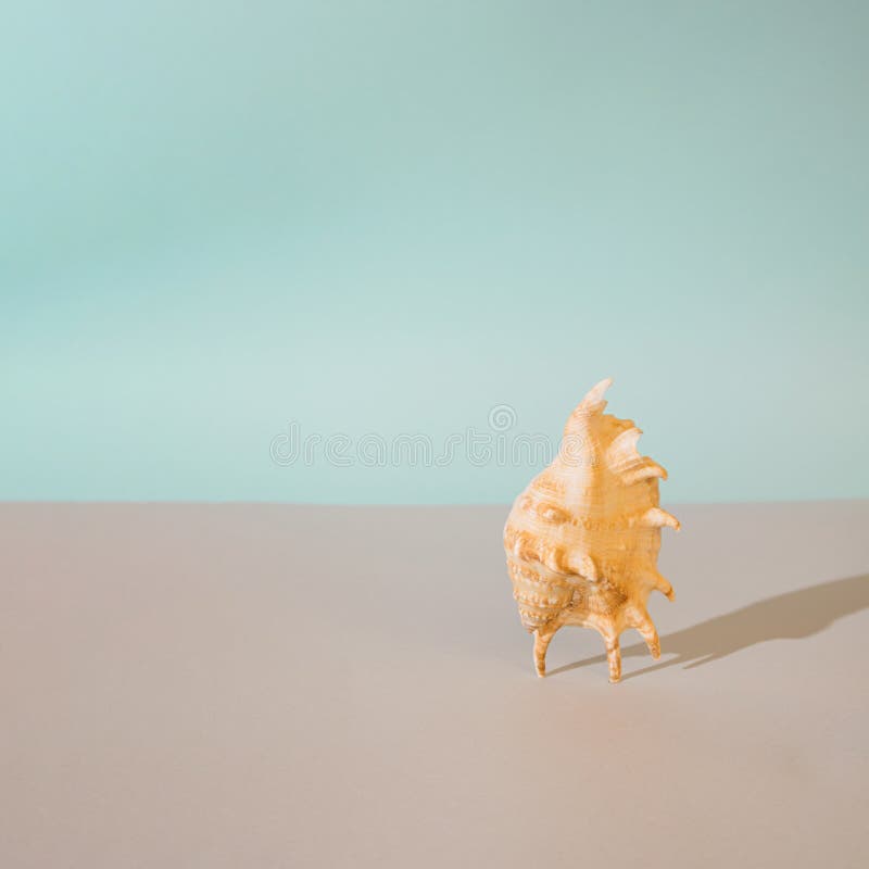Strange Seashell Concept Minimal.summer Art Modern Idea on a Sandy Blue ...