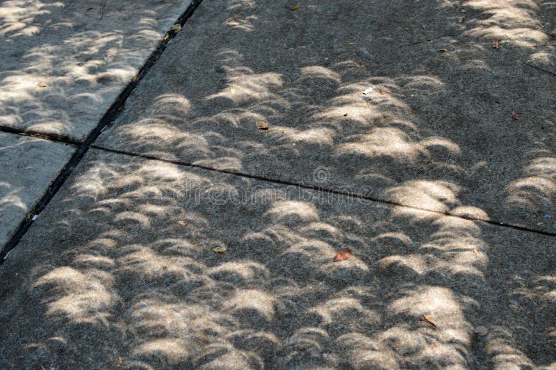 Strange Shadows during a Solar Eclipse Stock Photo - Image of format ...
