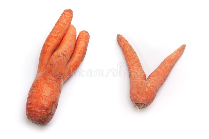 Strange Shaped Carrots Isolated on White Surface Stock Photo - Image of ...