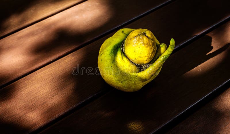 Strange Shaped Lemon on Wooden Table Stock Photo - Image of natural ...