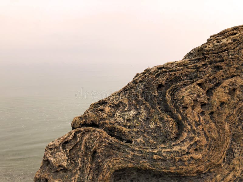 Rock of shellfish in water stock image. Image of textured - 110340411