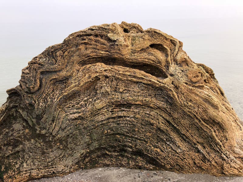 Rock of shellfish in water stock image. Image of tourism - 110340419