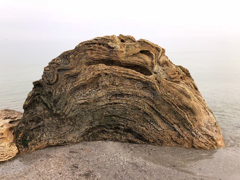 Rock of shellfish in water stock photo. Image of solid - 110340464