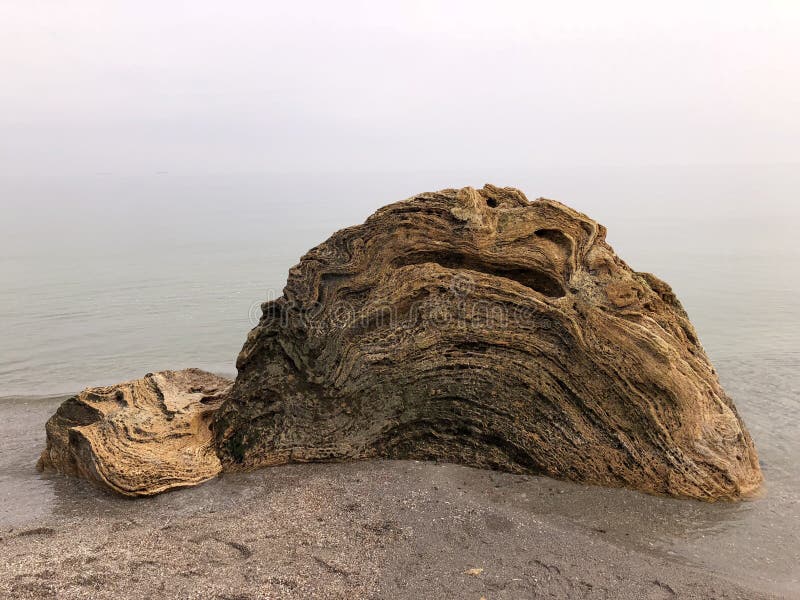 Rock of shellfish in water stock photo. Image of solid - 110340464