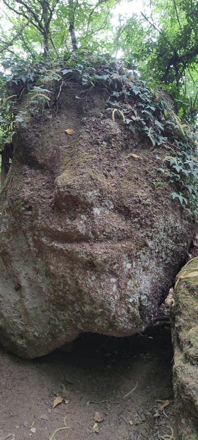 Strange Stone with Human Face Stock Photo - Image of stone, wood: 251132008