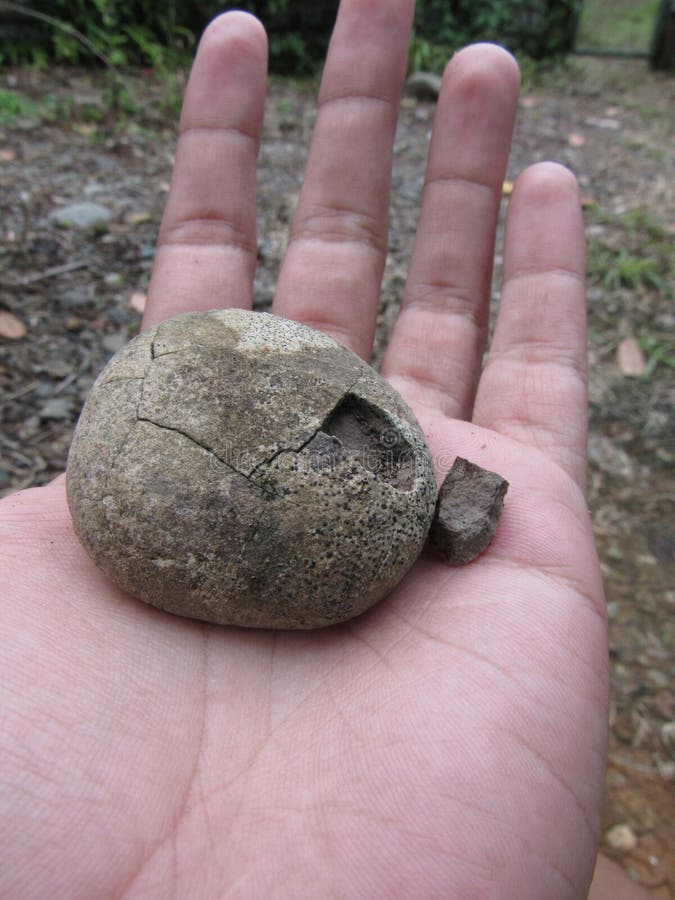 Strange Stone, Puzzle Stone Pieces Stock Photo - Image of curious ...