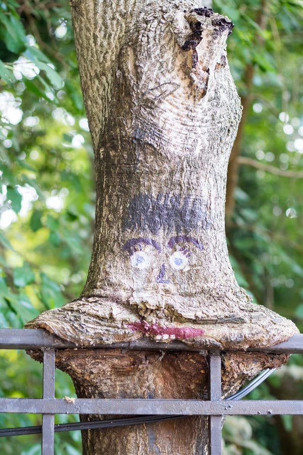 Strange tree with eyes stock image. Image of landscape - 123015223