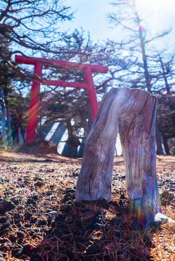 A Strange Tree before a Red Torli Stock Photo - Image of perspective ...