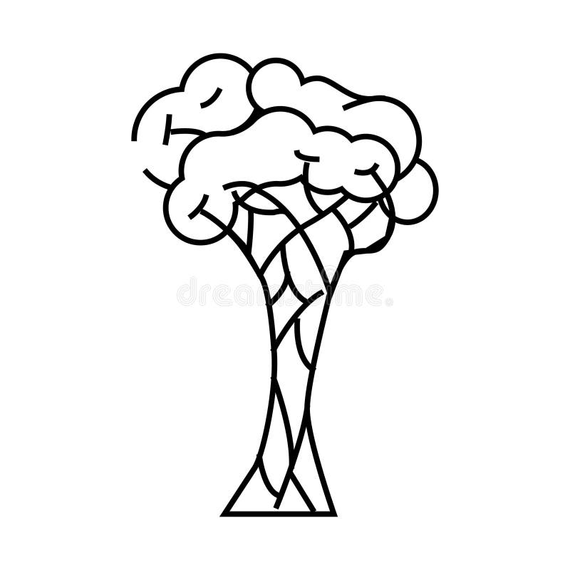 Strangler Fig Jungle Amazon Line Icon Vector Illustration Stock Vector ...