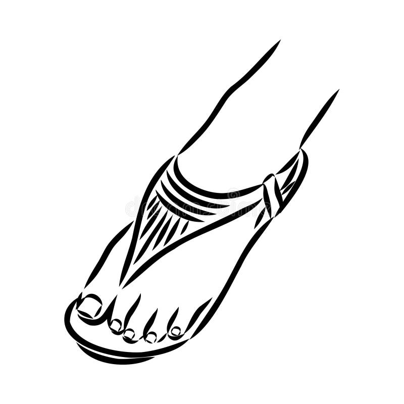 Strap Sandal Outline Drawing Vector, Strap Sandal in a Sketch Style ...
