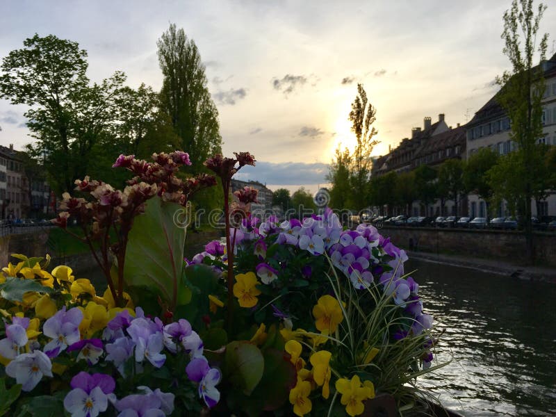 Strasbourg stock image. Image of city, sunset, landscape - 82099513
