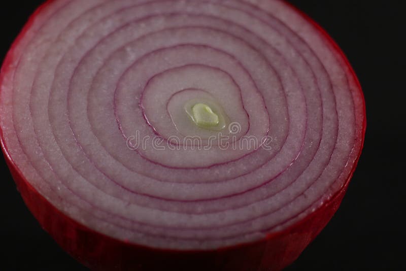 Strati Di Una Cipolla Rossa Fotografia Stock - Immagine di mangi ...