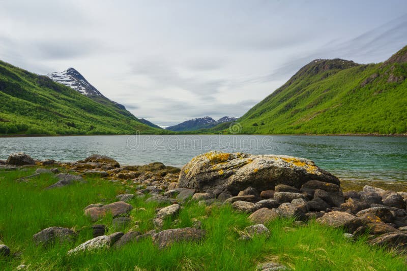 Straumfjord stock image. Image of wilderness, relaxation - 393380265