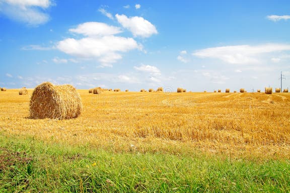 Straw stock image. Image of bruise, cloud, blue, straw - 15397337