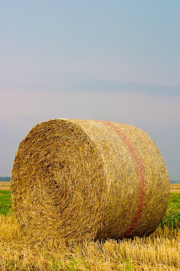 Straw stock image. Image of background, grain, color - 17516555