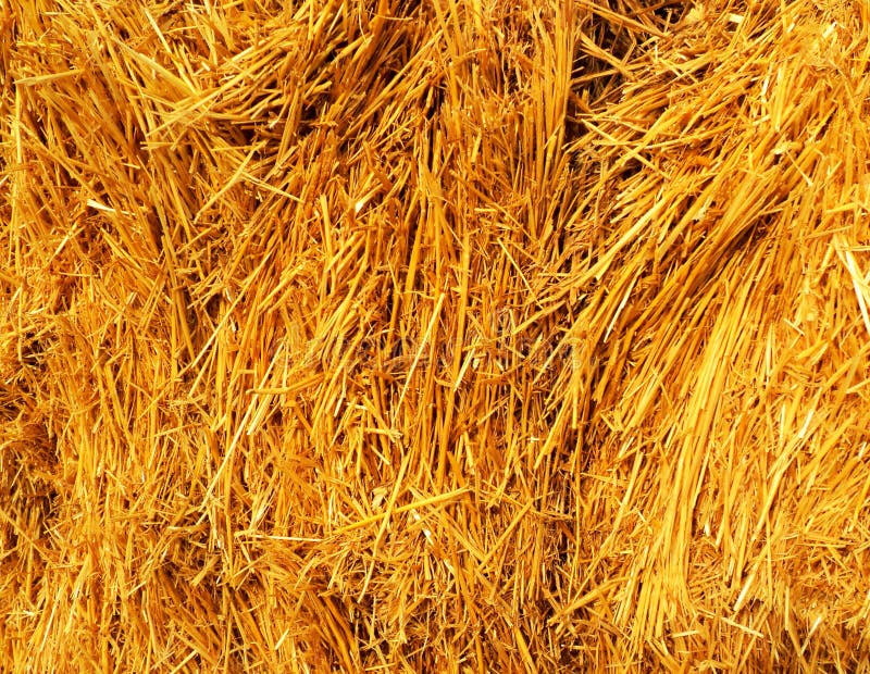 Straw stock photo. Image of yellow, rural, straw, rick - 18742916