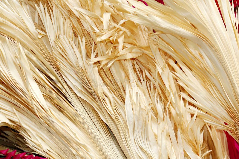 Straw stock photo. Image of fotoping, decorative, nature - 20383492