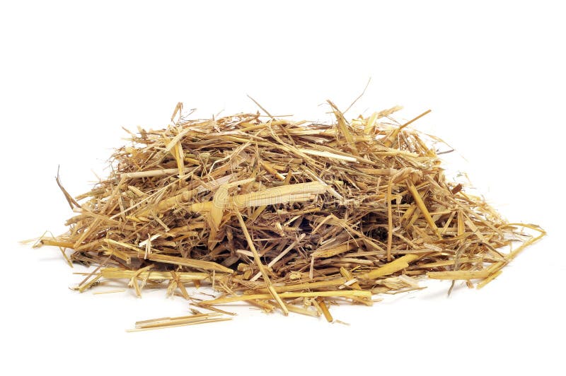 Bale of Natural Farming Straw Hay Over White Stock Photo - Image of ...