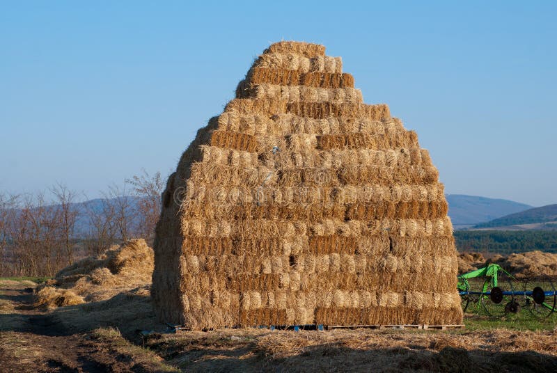 Straw stock image. Image of industry, wheat, stall, farm - 24290909
