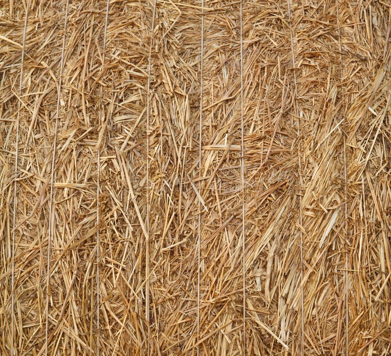 Straw stock photo. Image of golden, feed, industry, farm - 27753588