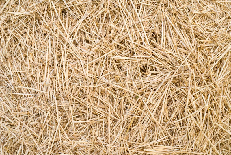 Packing with wood-wool stock image. Image of crinkle, excelsior - 731713