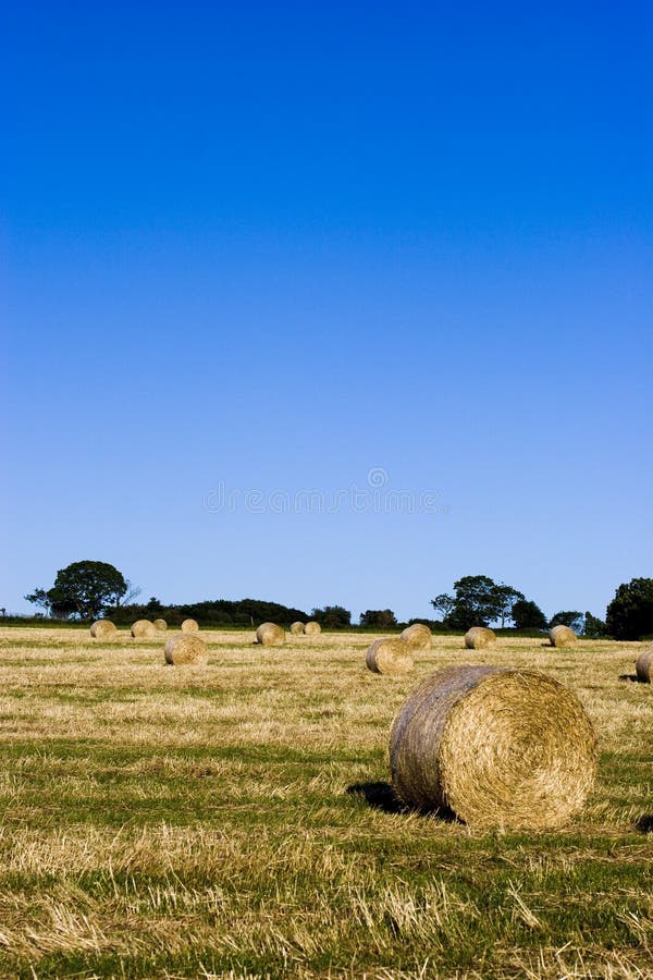 Straw stock photo. Image of country, farm, meadow, countryside - 5616174