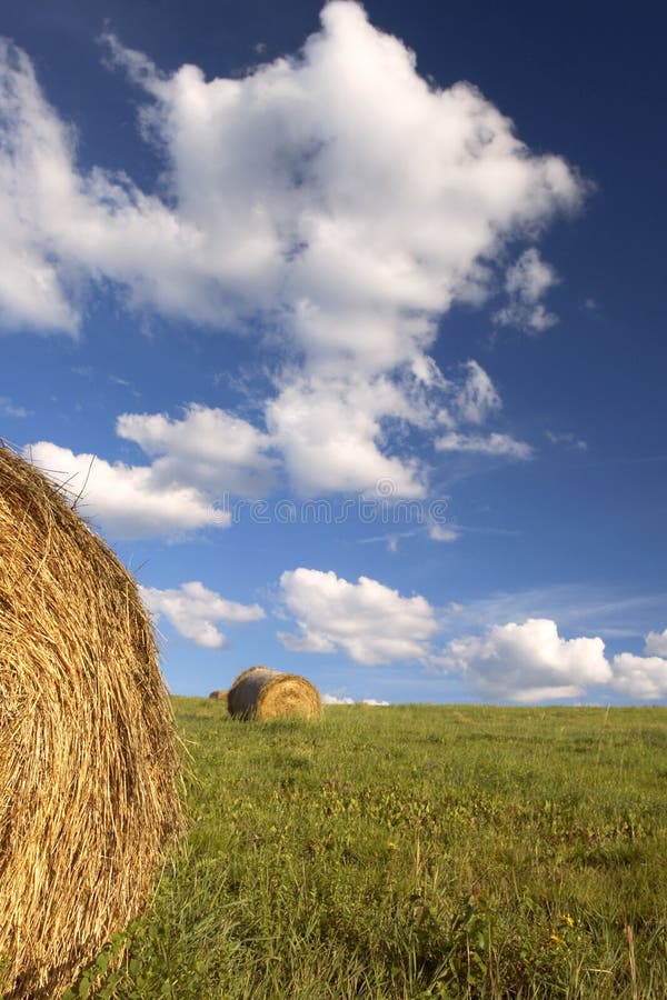 Straw stock image. Image of straw, field, blue, cloud, barley - 698159