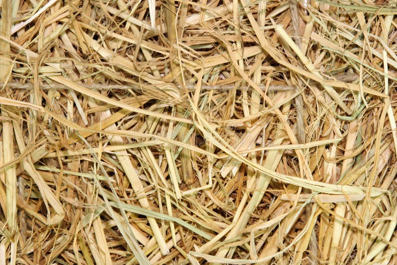 Straw stock image. Image of farming, industry, material - 2389199
