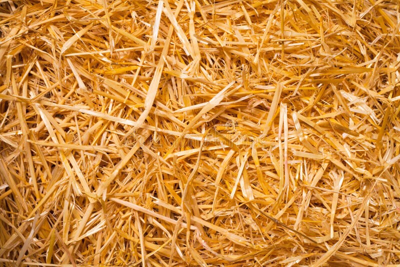 Straw Background stock photo. Image of summer, grass - 29310938