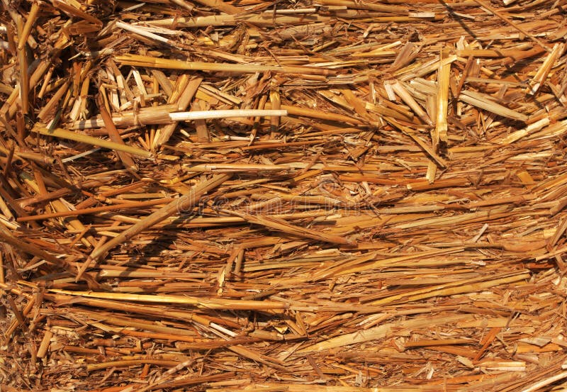Straw Background Picture. Image: 8066229