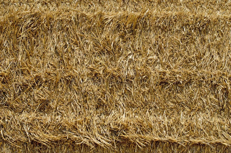 Straw background stock photo. Image of natural, abstract - 32295958