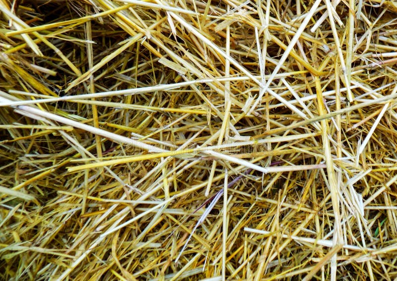 Straw background stock photo. Image of abstract, backgrounds - 102310422