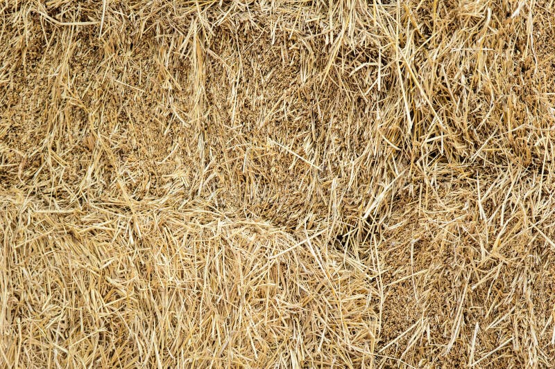 Straw As a Background or Wallpaper Stock Image - Image of wallpaper ...