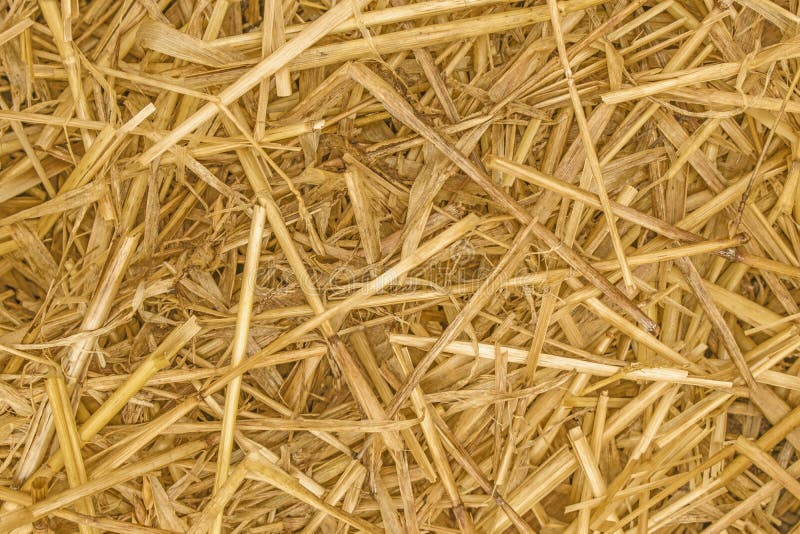 Straw Background Texture Close Up Stock Image - Image of horticulture ...